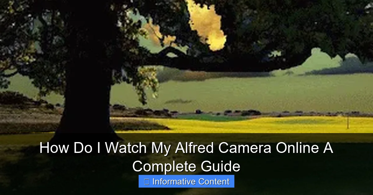 How Do I Watch My Alfred Camera Online A Complete Guide